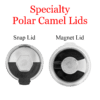 Lids - Polar Camel